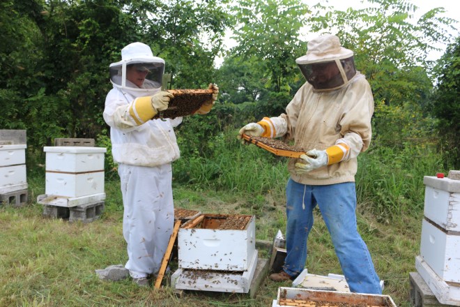 Beekeeping in the Mammoth Cave Region Narrative Stage – Kentucky ...